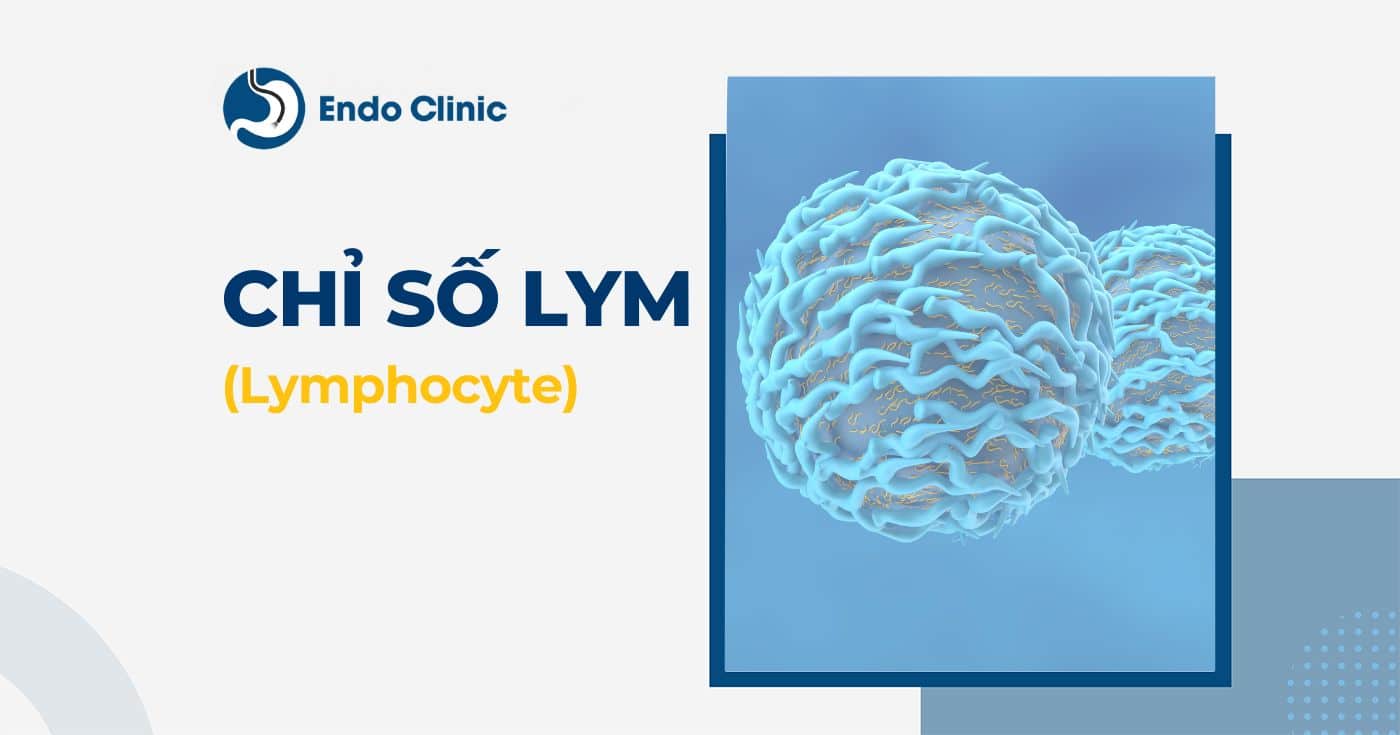 Công thức máu LYM là gì? Khám phá ý nghĩa và tầm quan trọng của chỉ số này