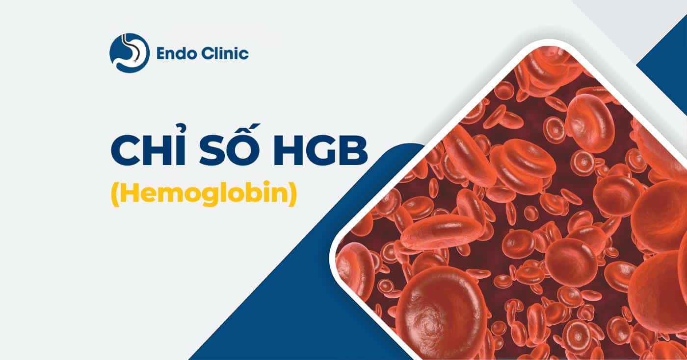 Chỉ số HGB là gì? Cảnh báo các vấn đề làm HGB thấp trong máu - Endo Clinic