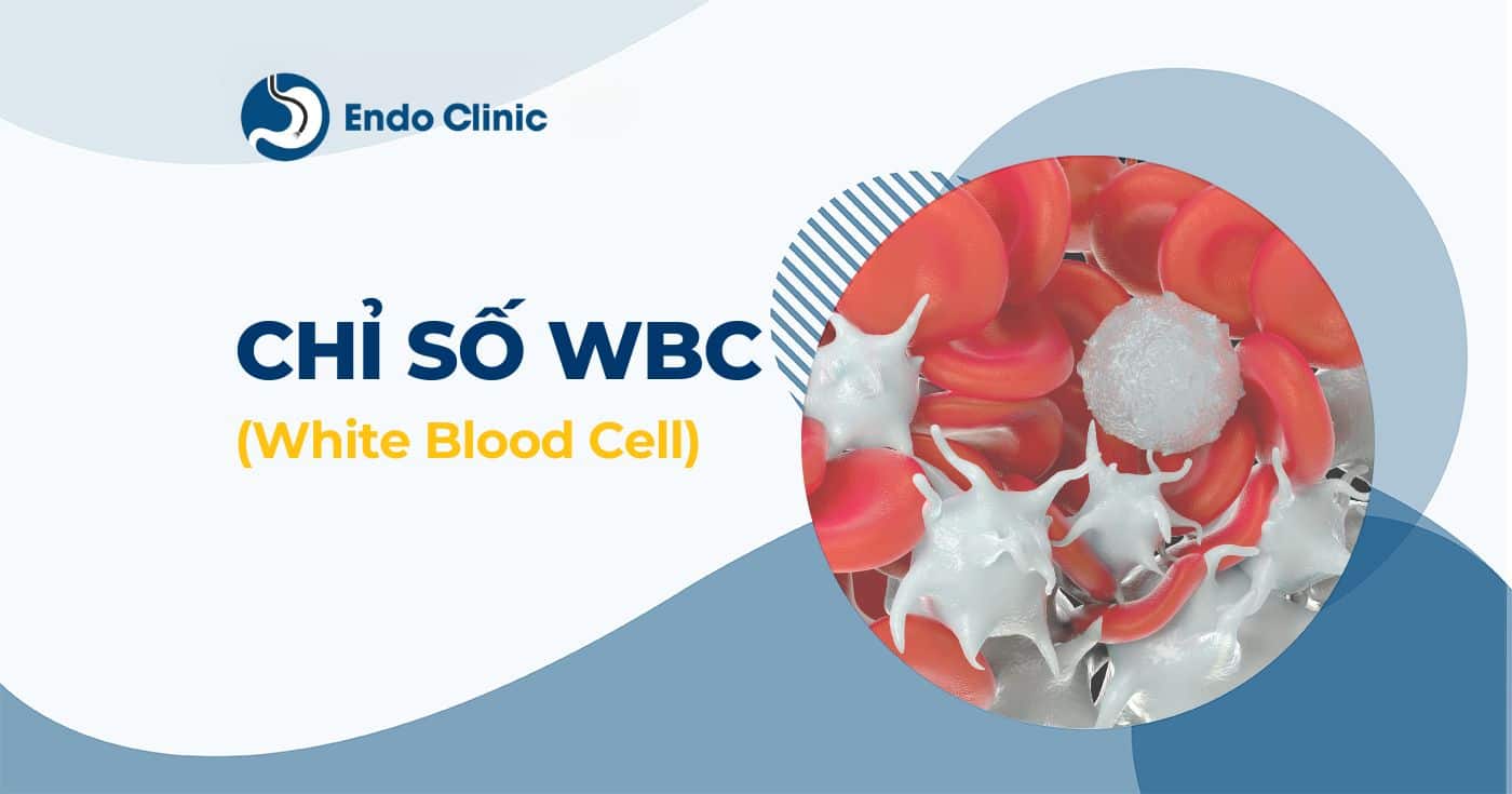 Chỉ số xét nghiệm WBC tăng cao cảnh báo nguy cơ bệnh lý gì? - Endo Clinic