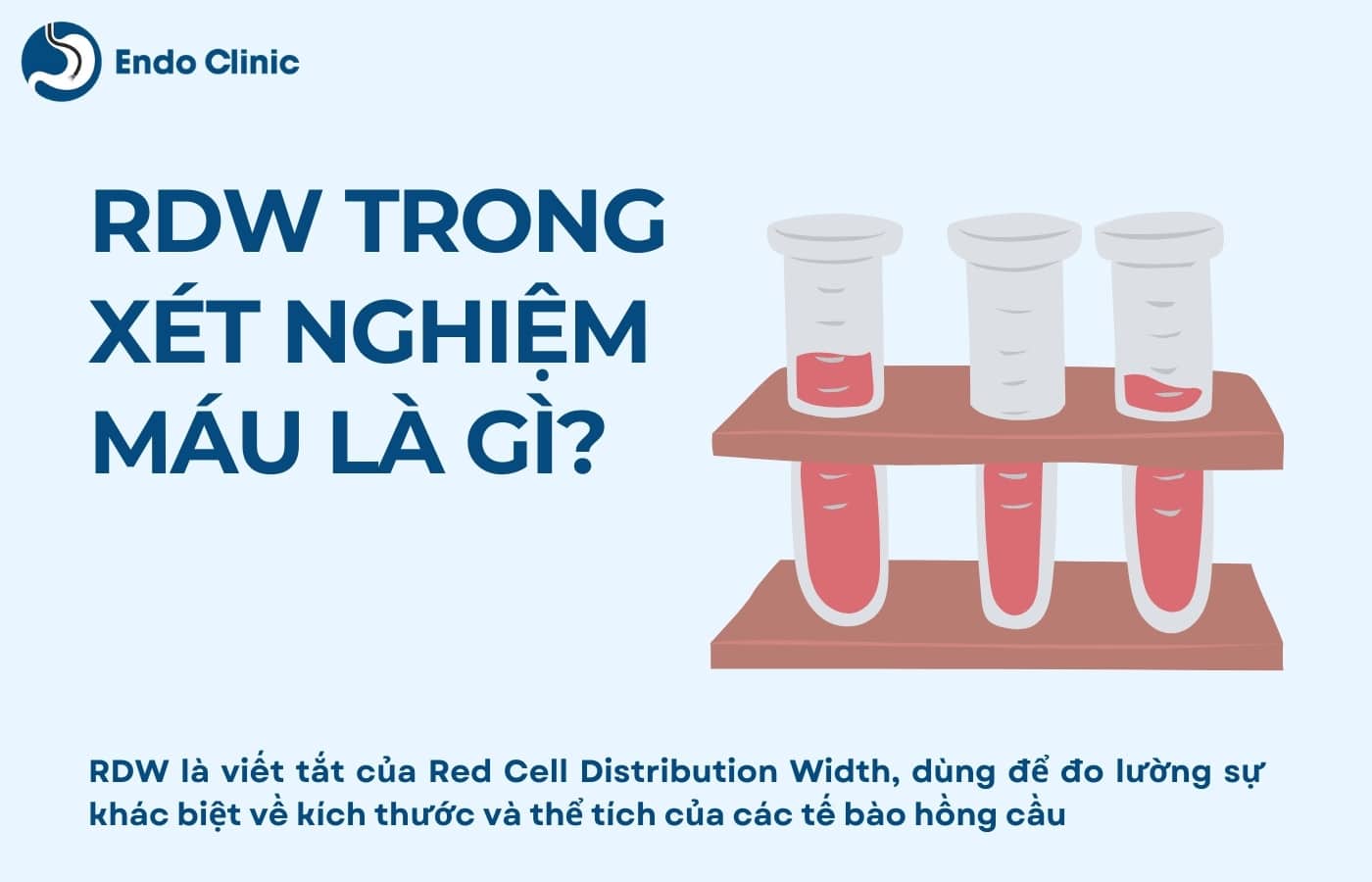 RDW là chỉ số xét nghiệm gì? RDW cao nguy hiểm như thế nào? - Endo Clinic