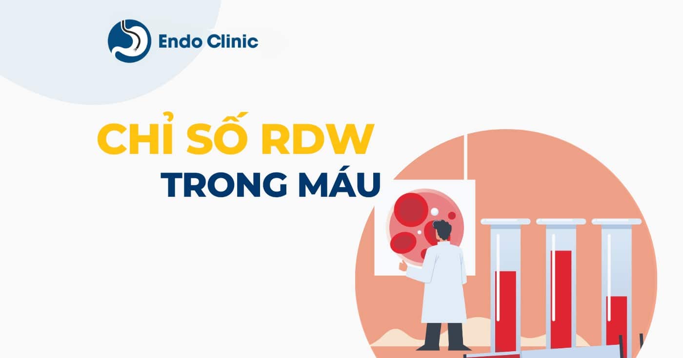 RDW là chỉ số xét nghiệm gì? RDW cao nguy hiểm như thế nào? - Endo Clinic