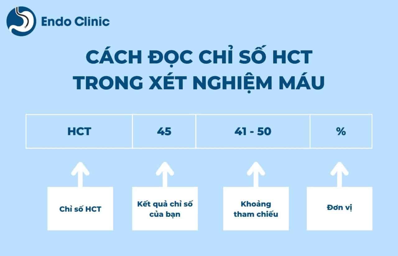 HCT là gì? Chỉ số HCT bao nhiêu là bình thường? - Endo Clinic