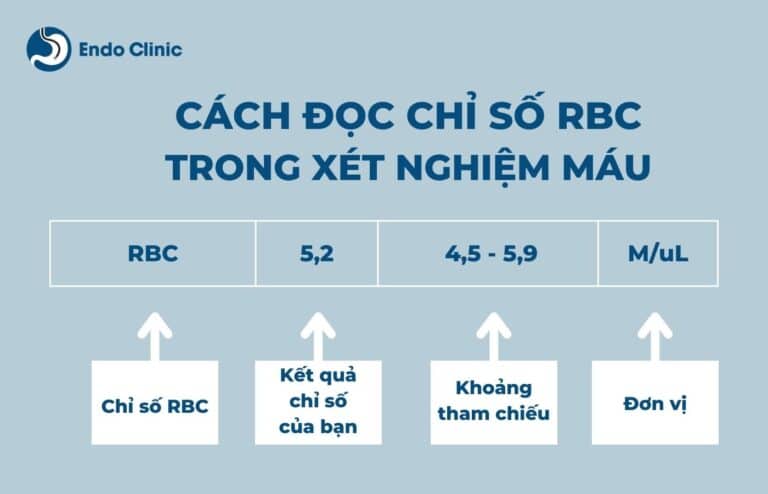 Chỉ số RBC là gì? Công thức máu RBC cao trong máu nguy hiểm không ...