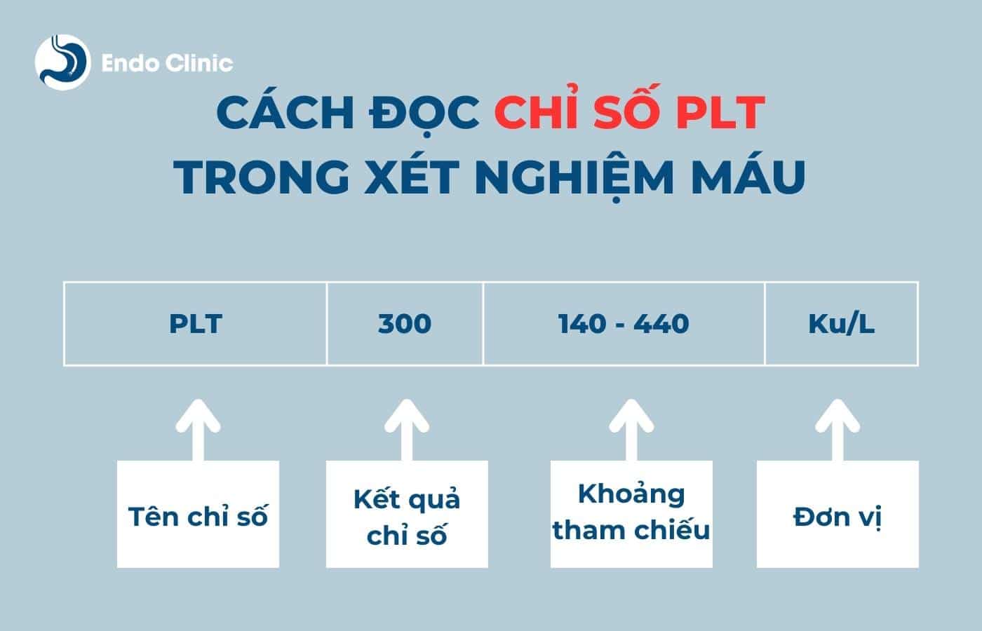PLT là gì? Bệnh lý nào làm chỉ số PLT bất thường trong máu?
