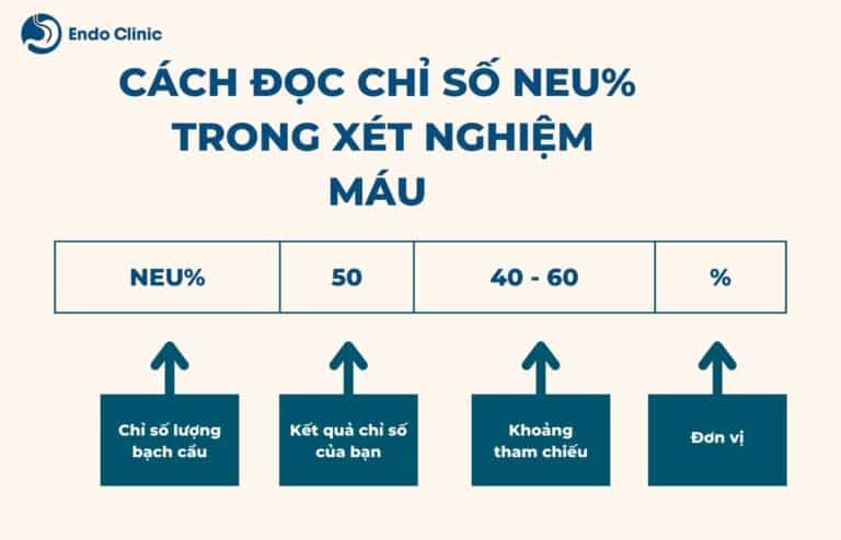NEU là gì? NEUT trong xét nghiệm máu cao nguy hiểm như nào? - Endo Clinic