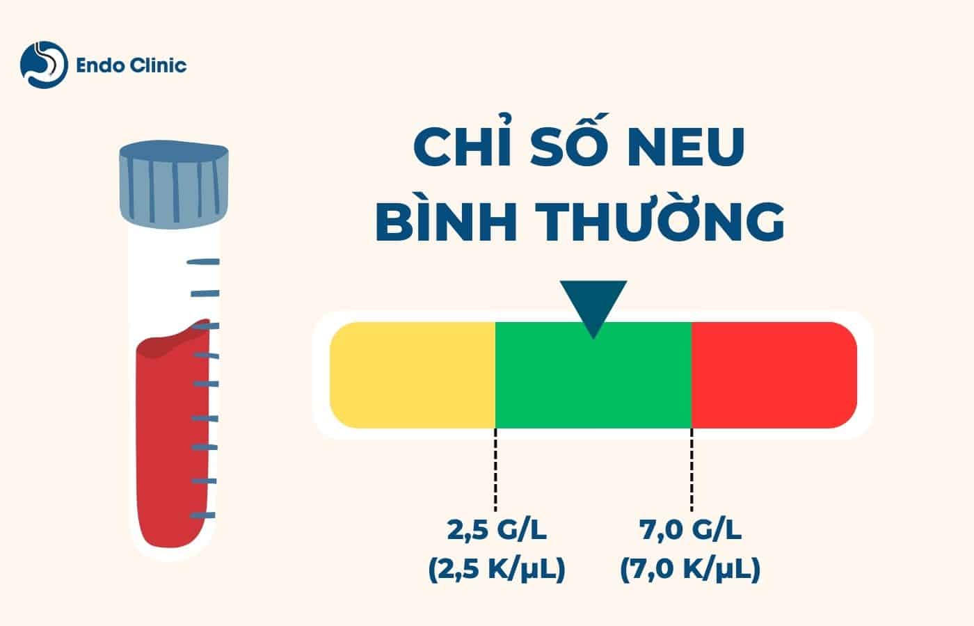 NEU là gì? NEUT trong xét nghiệm máu cao nguy hiểm như nào? - Endo Clinic