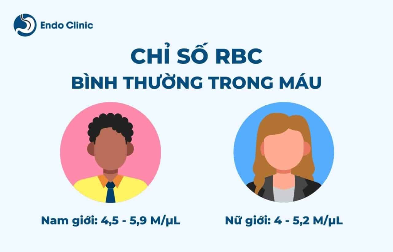 Chỉ số RBC là gì? Công thức máu RBC cao trong máu nguy hiểm không ...