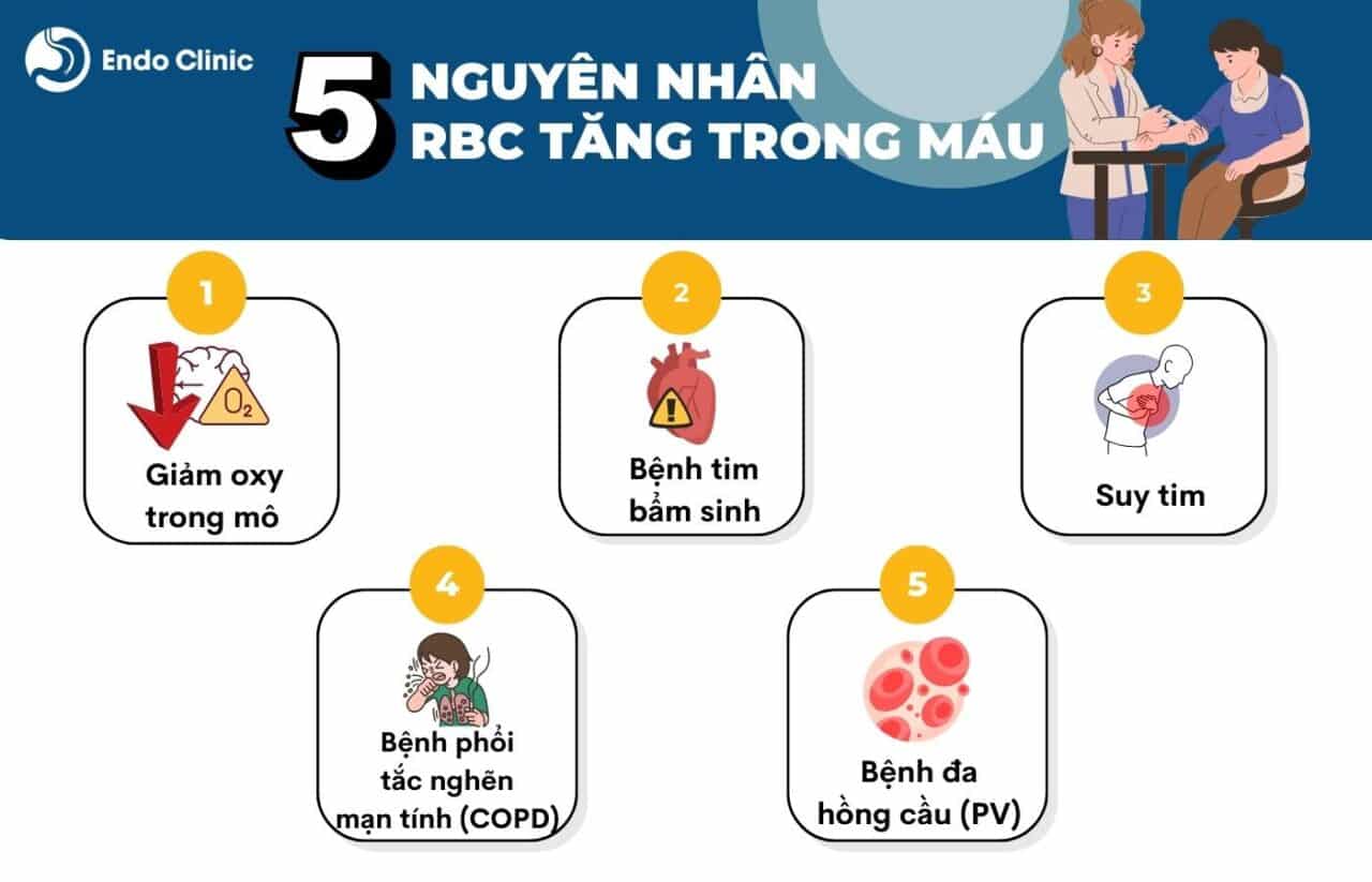Chỉ số RBC là gì? Công thức máu RBC cao trong máu nguy hiểm không ...
