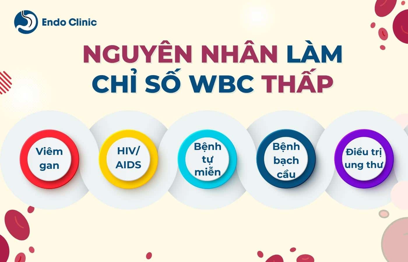 Chỉ số xét nghiệm WBC tăng cao cảnh báo nguy cơ bệnh lý gì? - Endo Clinic